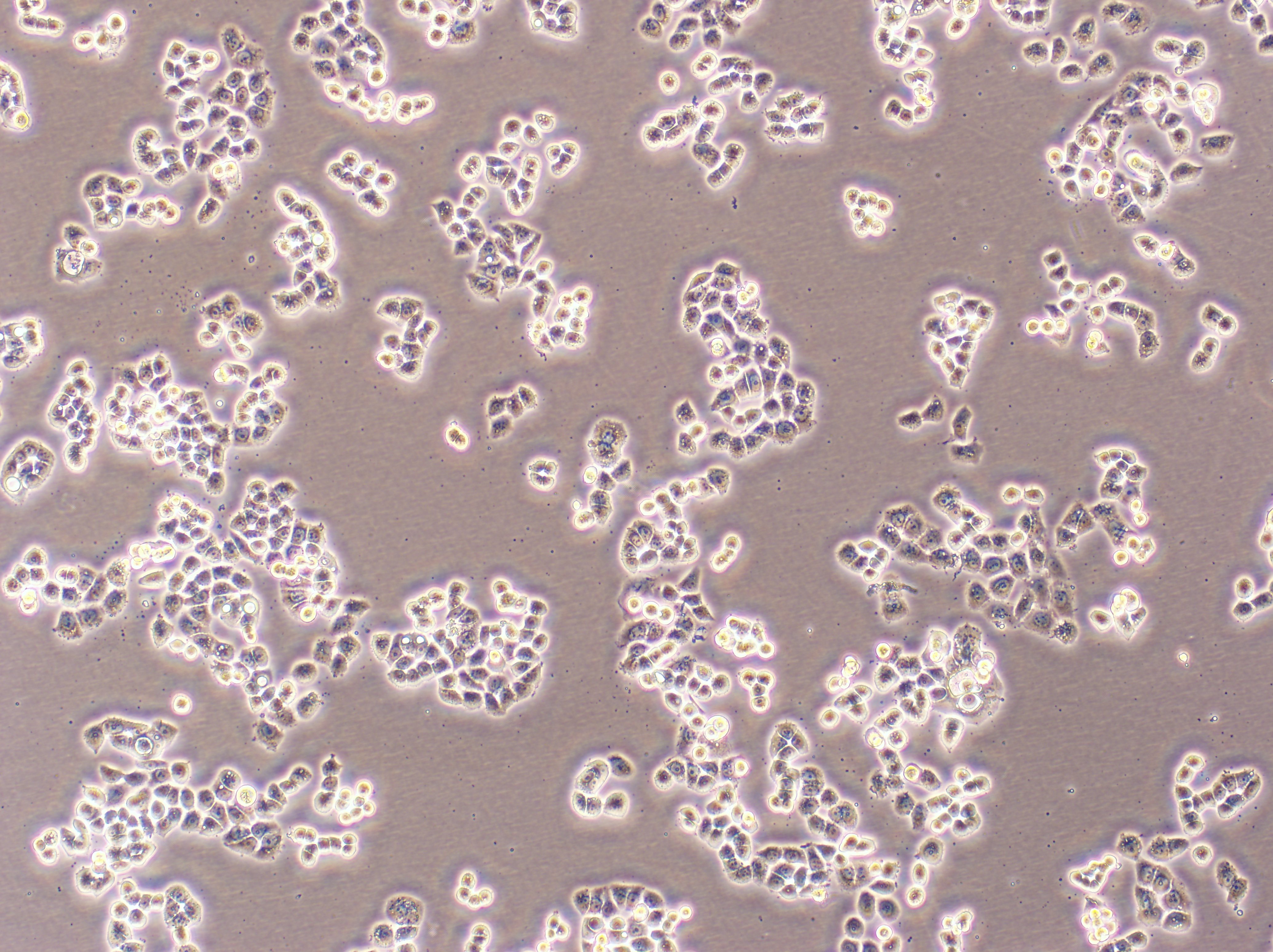 SIGNAL AND IMAGE PROCESSING GROUP AT BILKENT UNIVERSITY